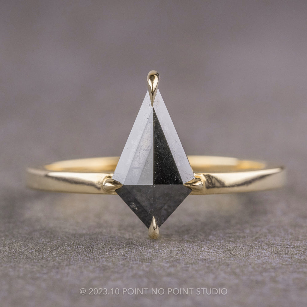 Black Diamond Engagement Ring, Point No Point Studio