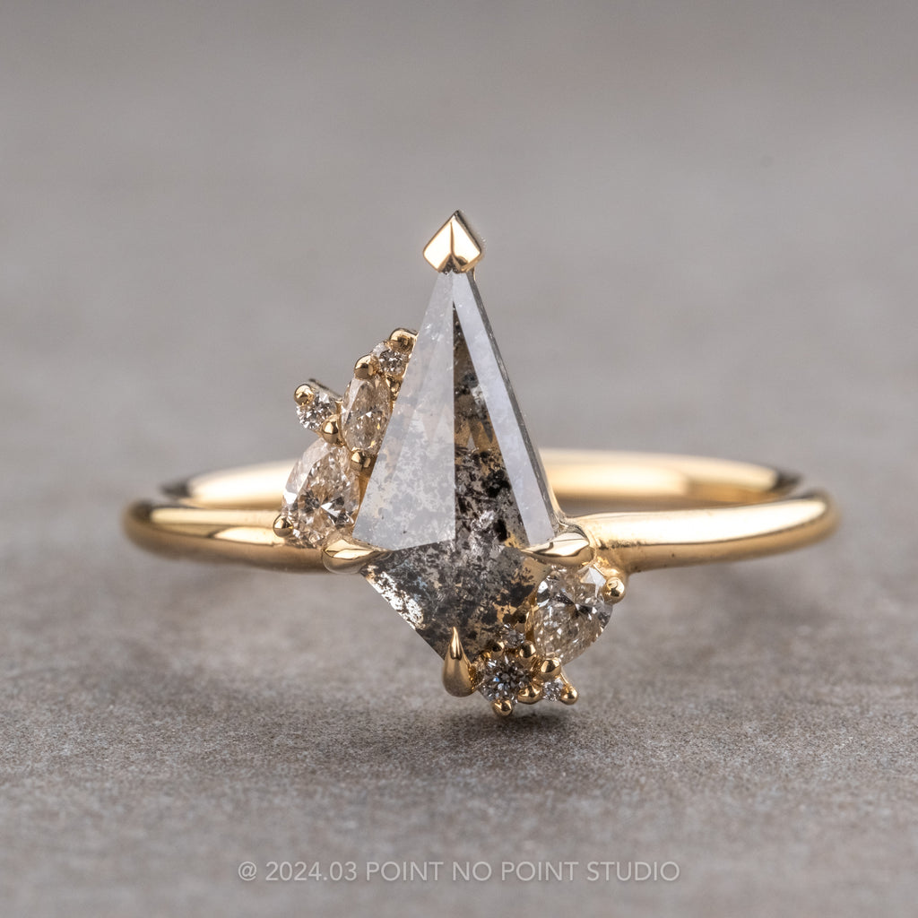 Salt and Pepper Diamond Engagement Ring, Point No Point Studio