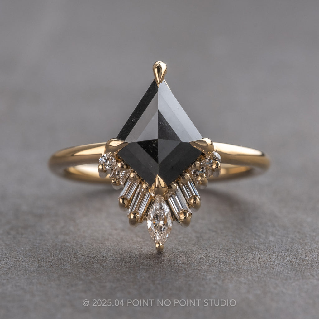 Black Diamond Engagement Ring, Point No Point Studio