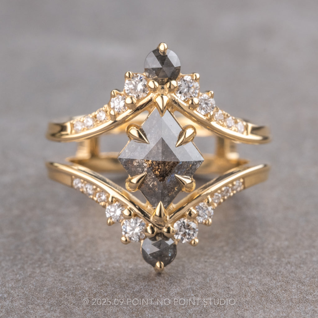 Black Speckled Diamond Engagement Ring, Point No Point Studio